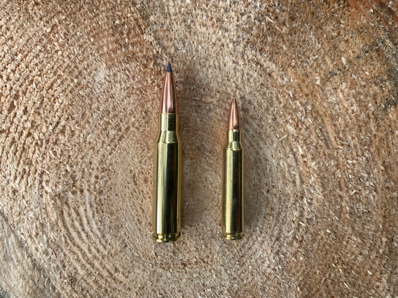 .308 Winchester vs 5.56 NATO - Vadaszújság.hu